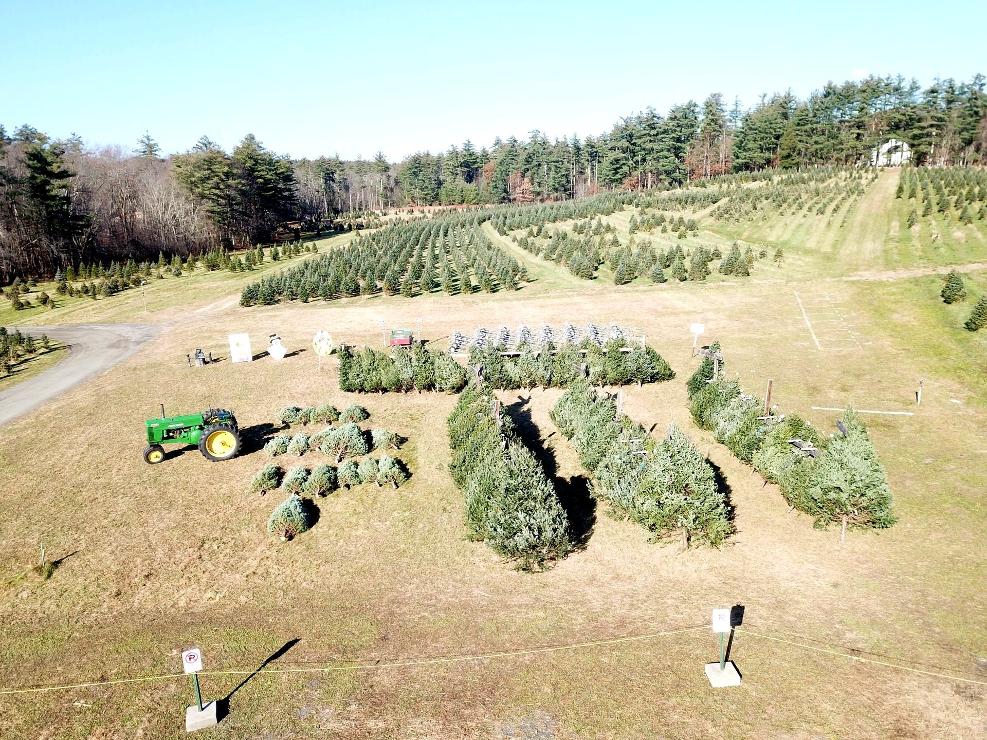 Tree Farm Hours