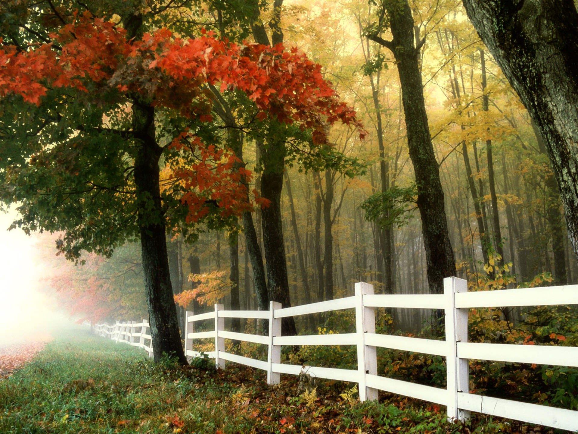 Land Surveyor | Northern Virginia | 703-742-9105