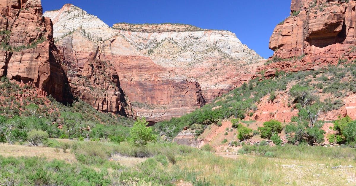 Zion Canyon Cabins | Activities | Zion National Park