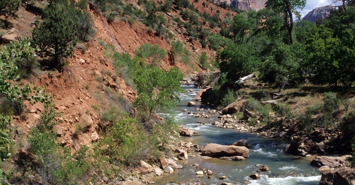 Zion Canyon Cabins | Activities | Zion National Park