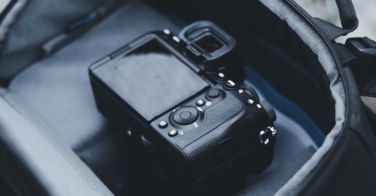 The Revolution of Mirrorless Cameras