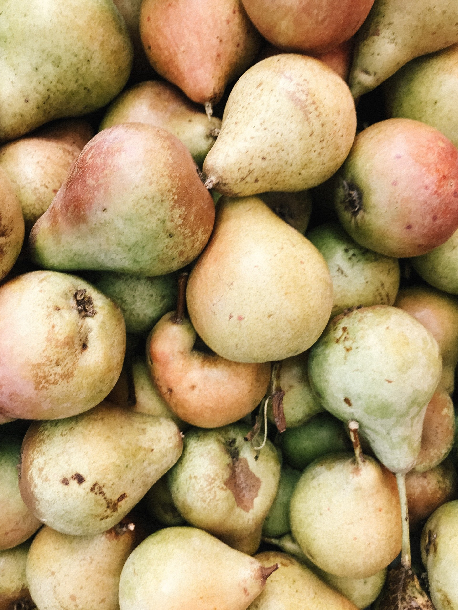 Produce Season Shipping in the Truckload Market