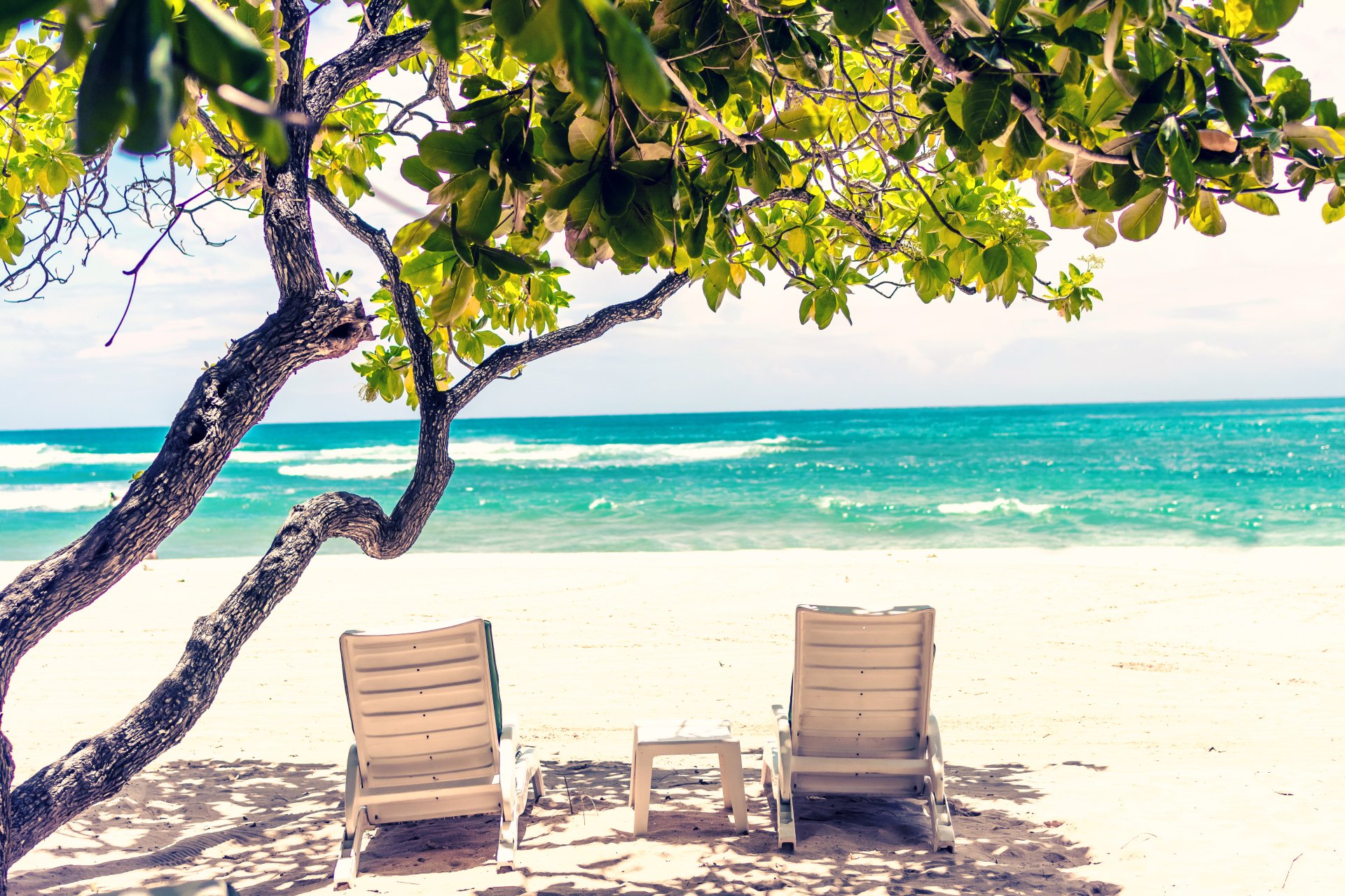 Caribbean Store
