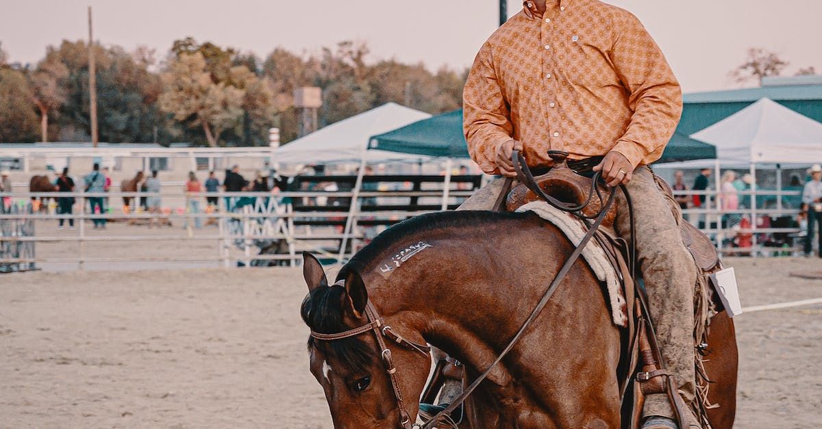 Local Events | Freestone Inn