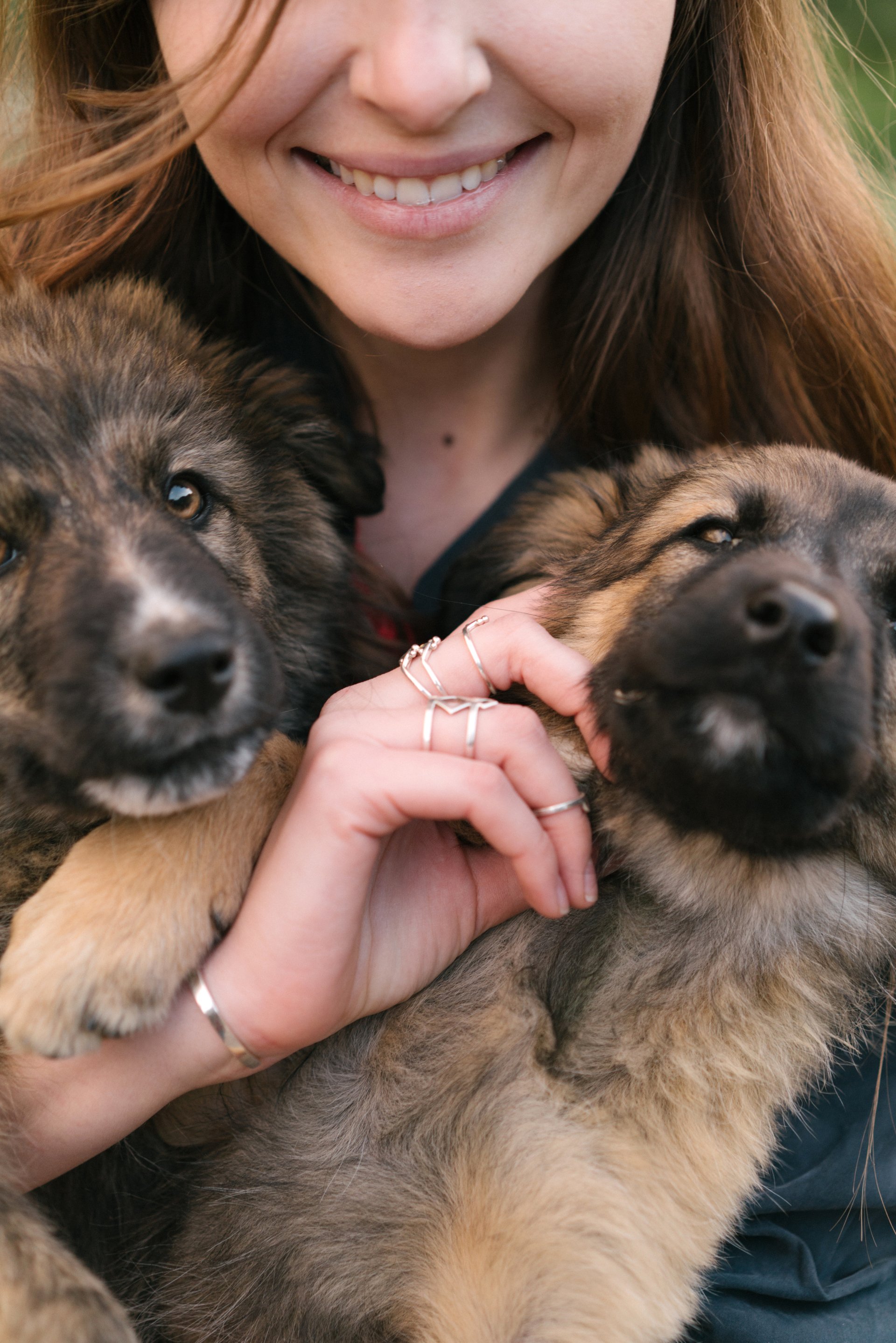 German Shepherd Puppies | Minneapolis, Faribault, Northfield, MN ...