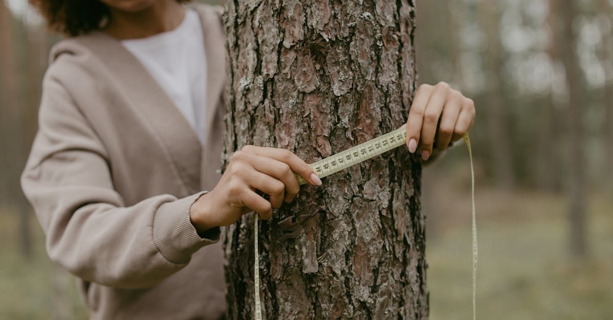 Sound Tree Care Resource Hub | FAQs, Blogs & Guides