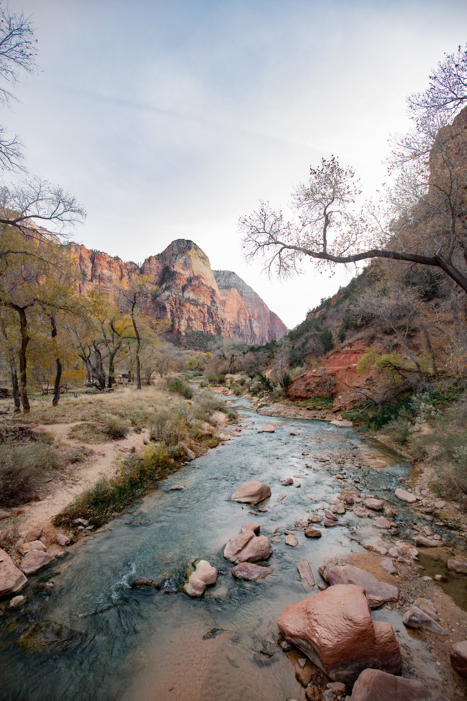 Zion Canyon Cabins | Activities | Zion National Park