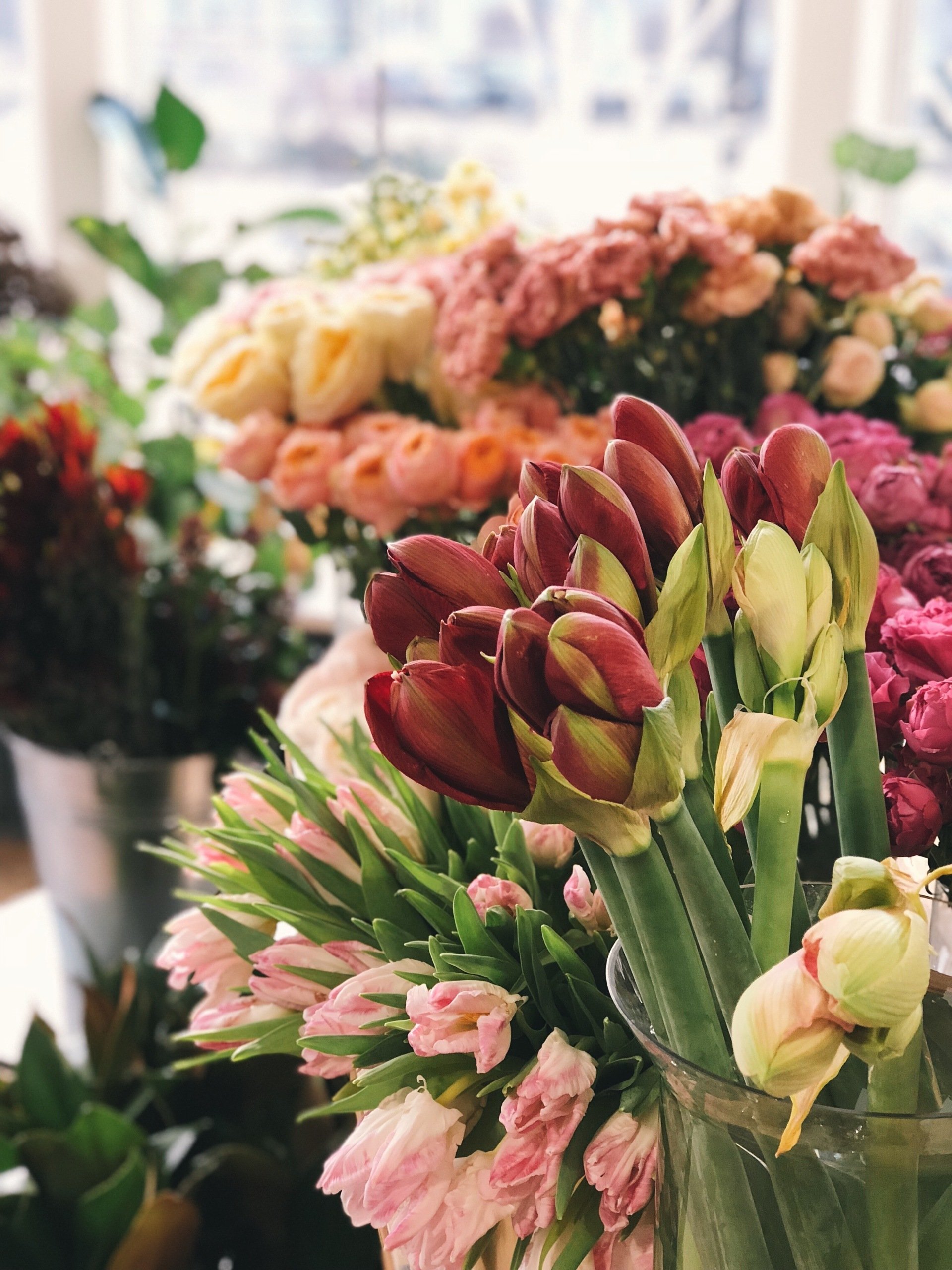 Rosa's Florist | Bridgeport, CT | Local Flower Delivery