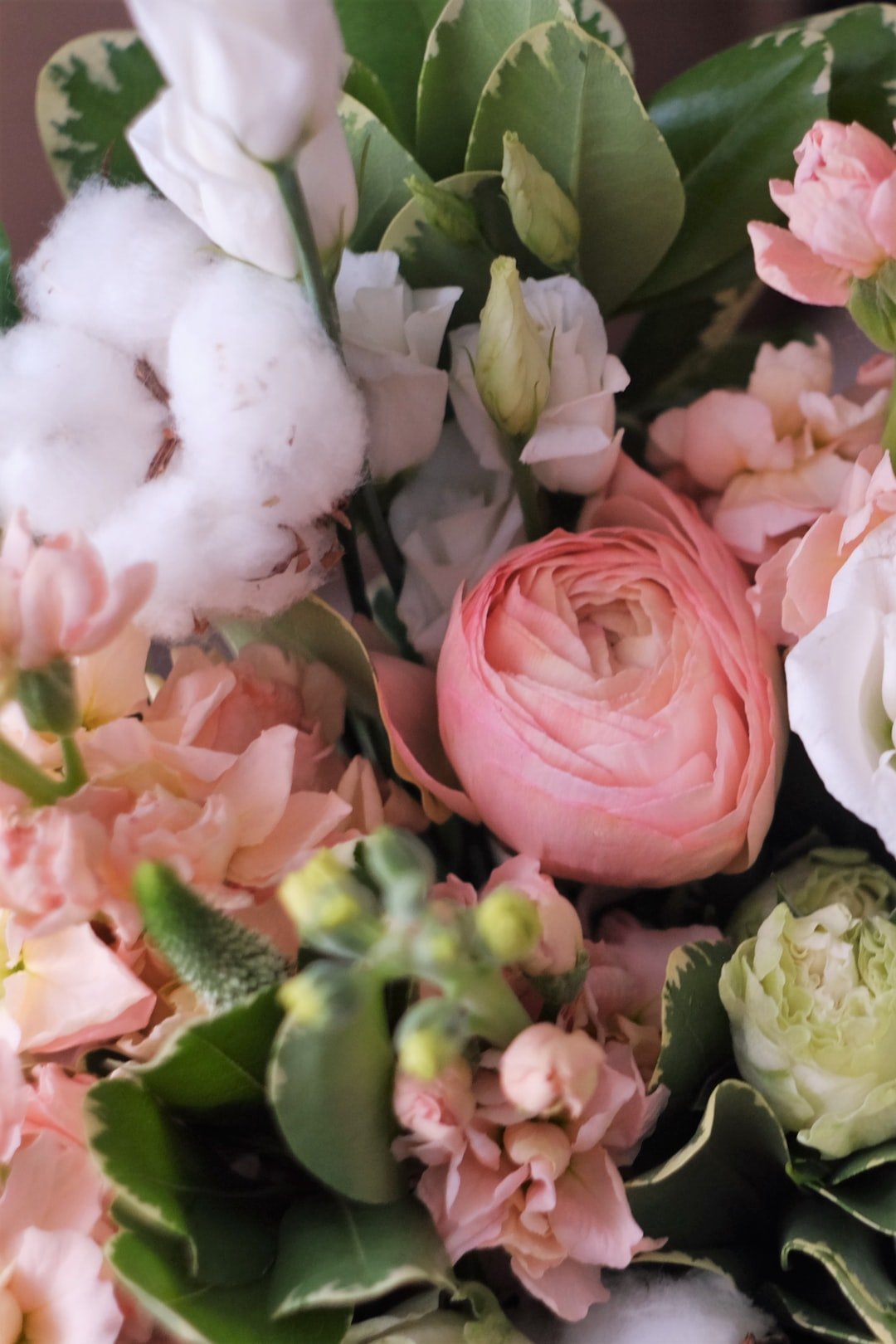 COCO BLOOMS - Scottish florist delivering next day fresh and dried flowers
